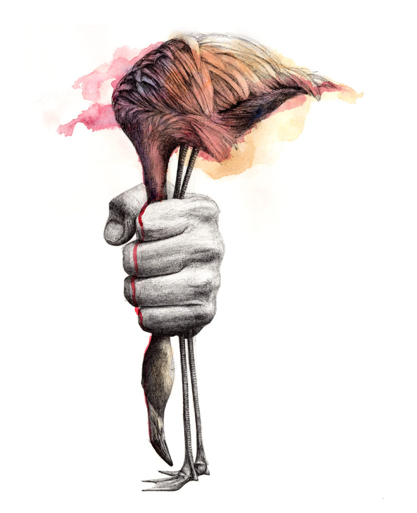 FLAMINGO II - The Art of Pausha